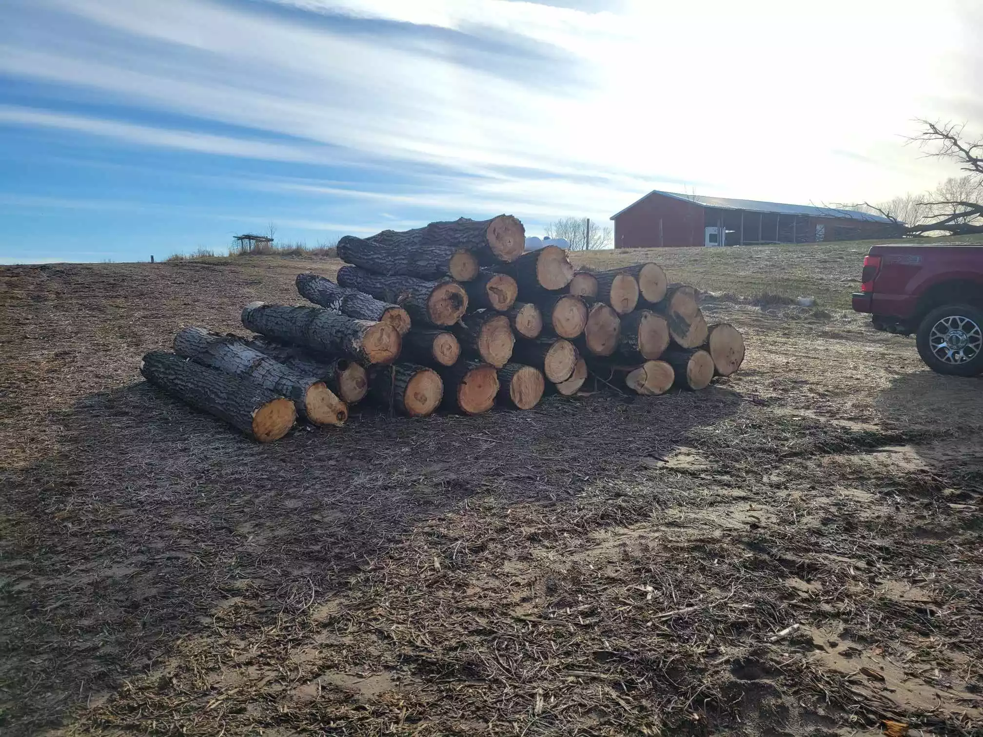 Timber Harvesting - M&M Timber